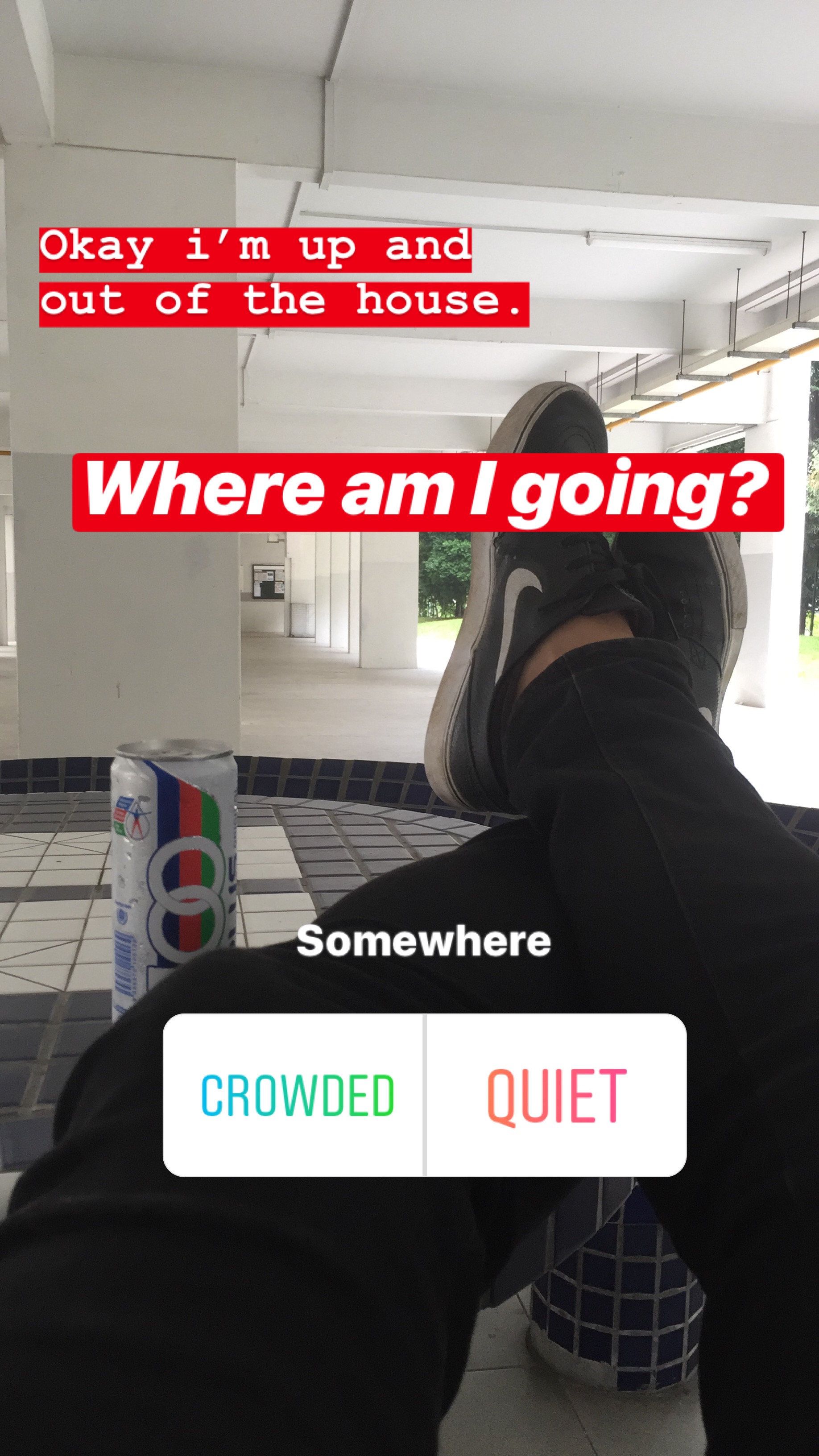 I Let My Instagram Followers Run My Life For A Day.