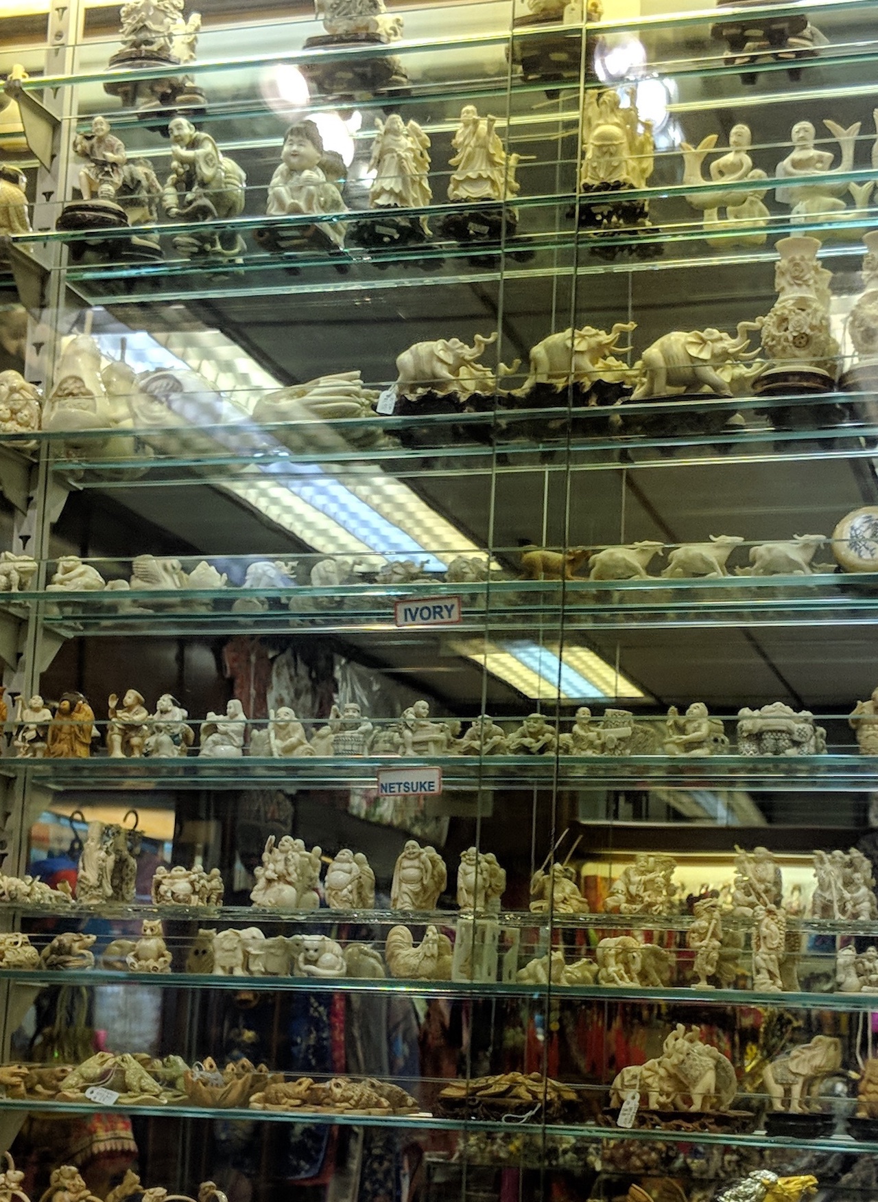 I Posed as an American Tourist to Expose Shops Selling Ivory