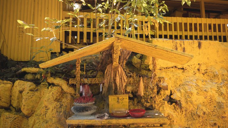 Singaporeans Have Been Praying to Trees For Over 200 Years. Here’s Why