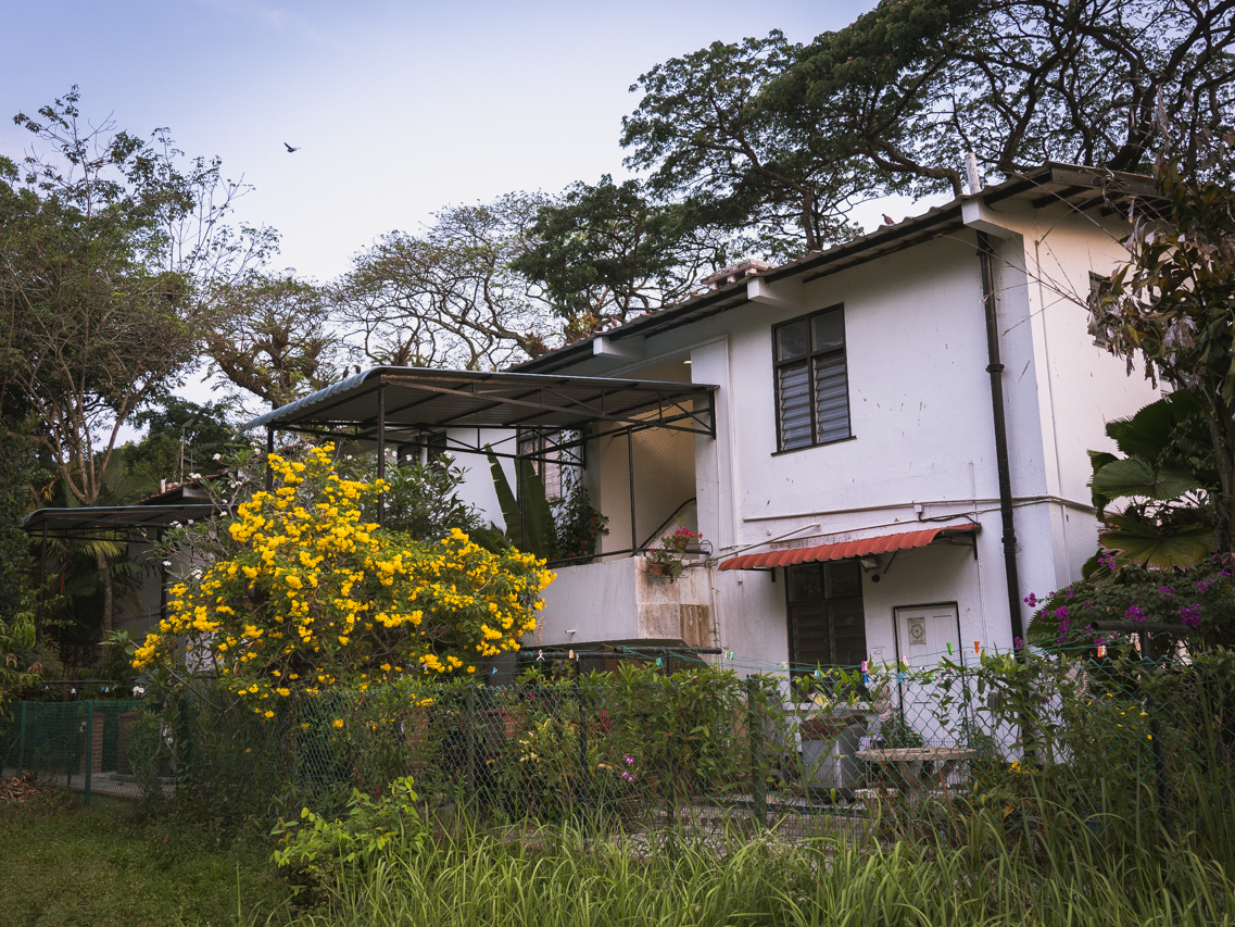 Finding Softness in a Place: A Portrait of Jalan Hang Jebat