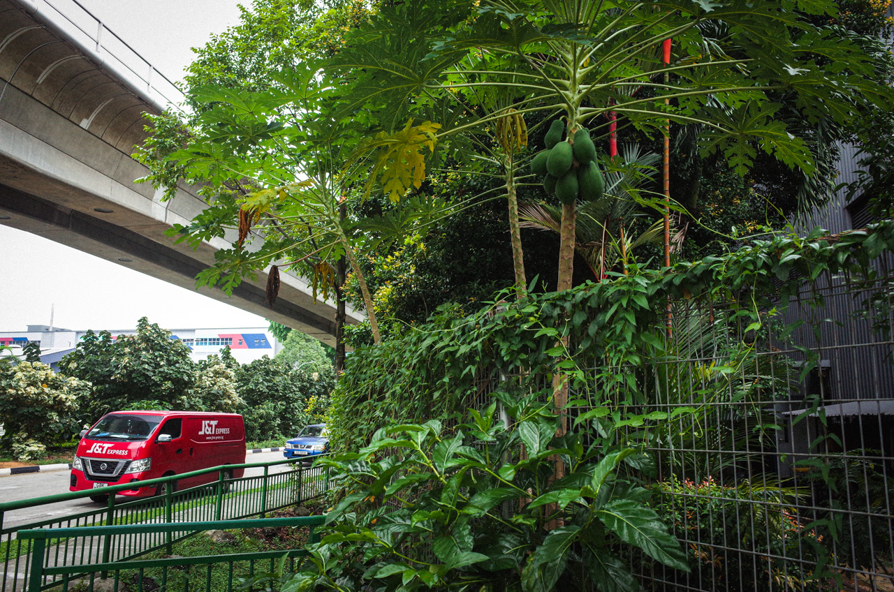 We Took A 12 KM Walk To The Industrial Heartlands Of Tuas, Because ...