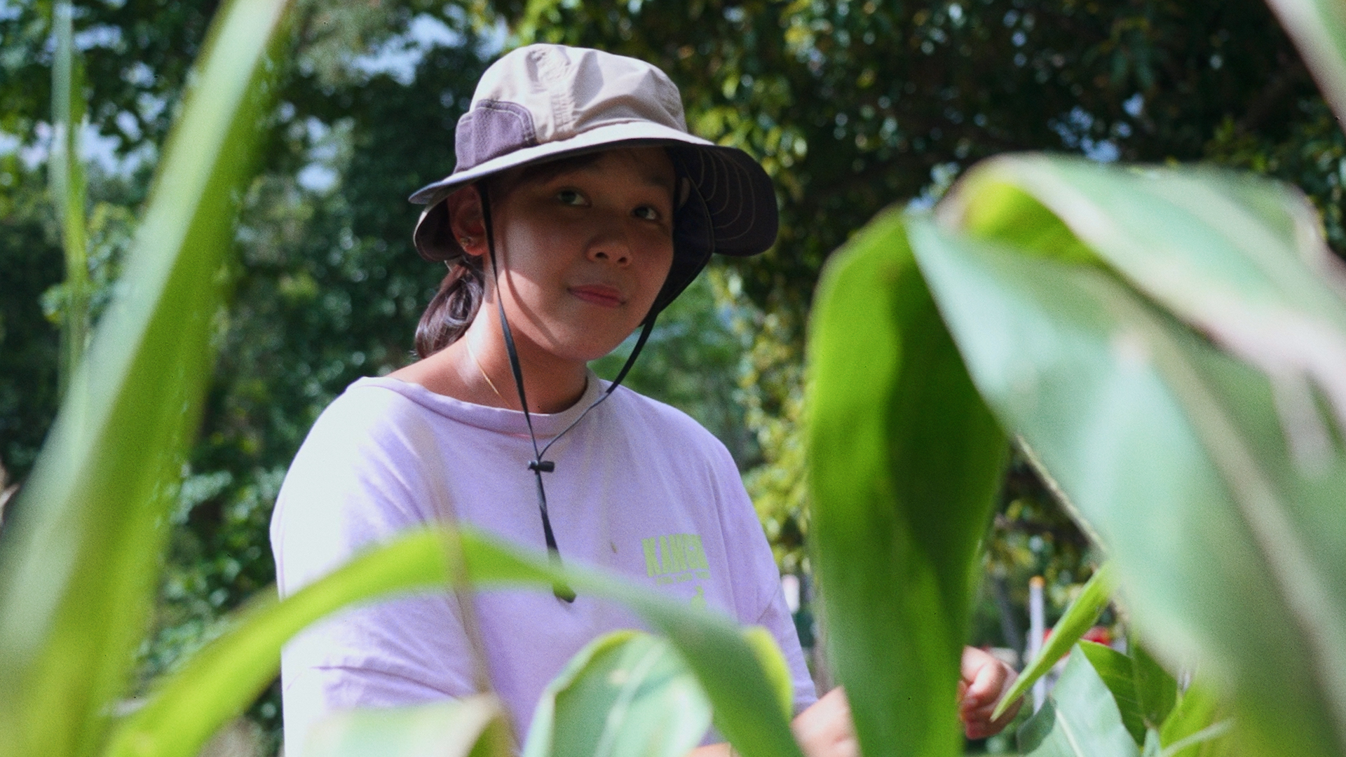 The Rise of Alternative Careers