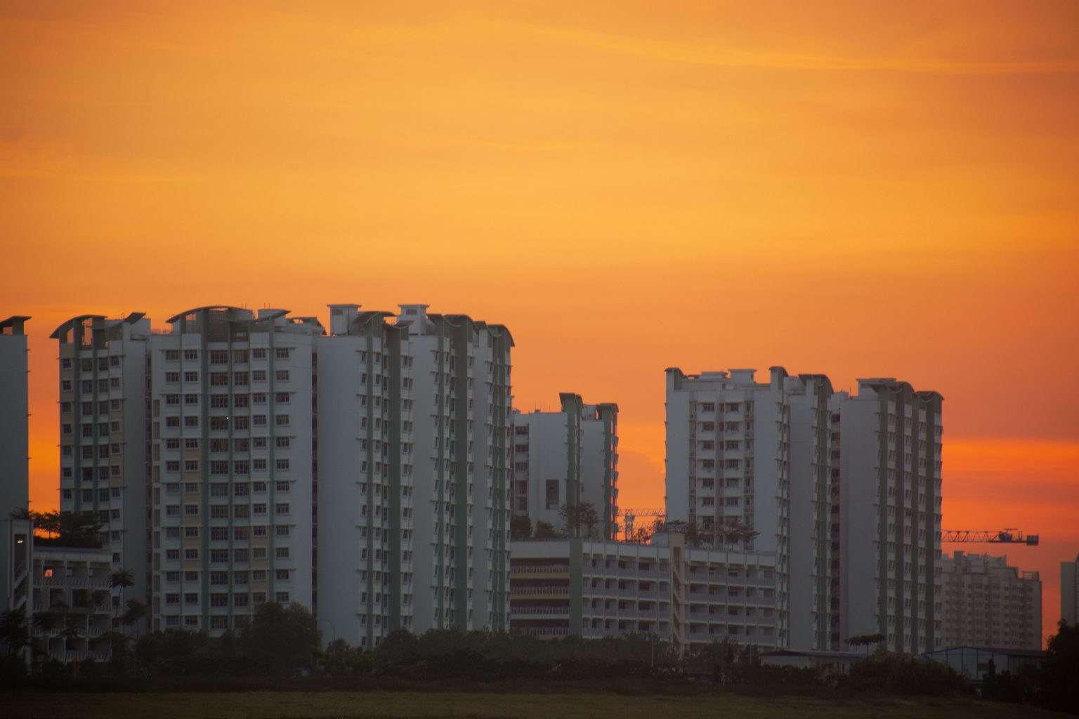 Sengkang in Pictures: The Secret Life of the North East