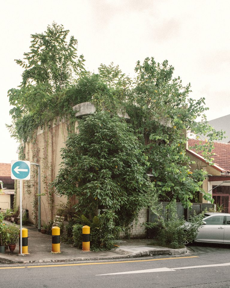 "The Only Certainty Here Is Change": Finbarr Fallon's Dreamlike ...