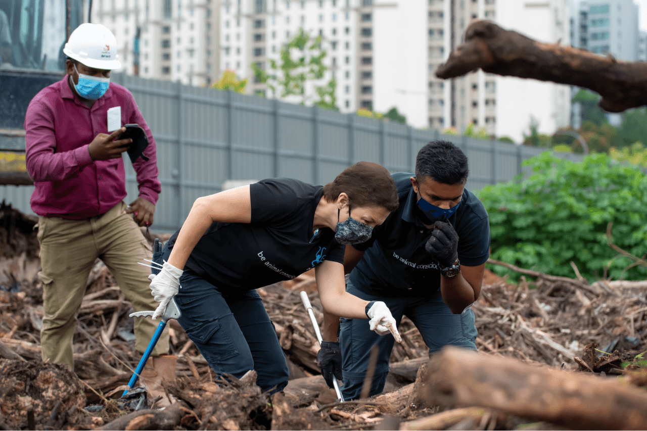 Where The Wild Things Are: On The Road With ACRES’ Wildlife Rescue Team ...