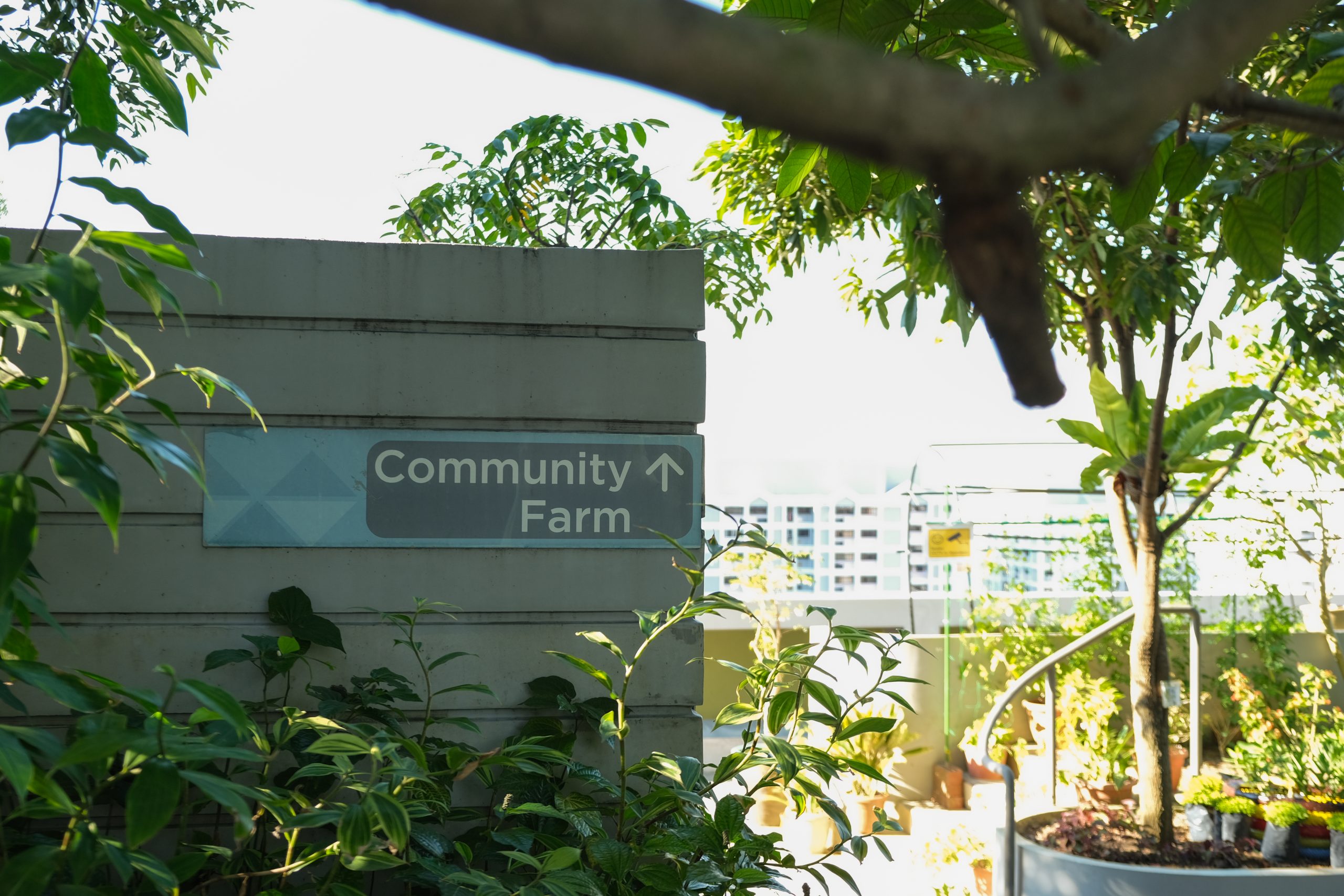 Future Communities: How Do We Design a 21st Century Kampung?