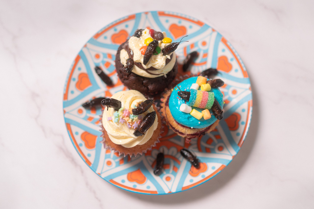 7 Days of Eating Fried Crickets to Normalise Insect Kaya Toast