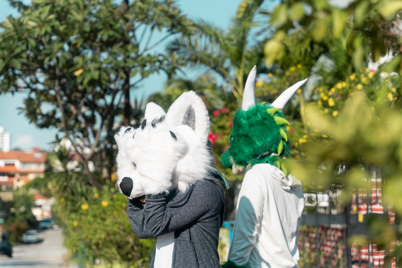 The Furry Community in Singapore Is Tired of Being Misunderstood