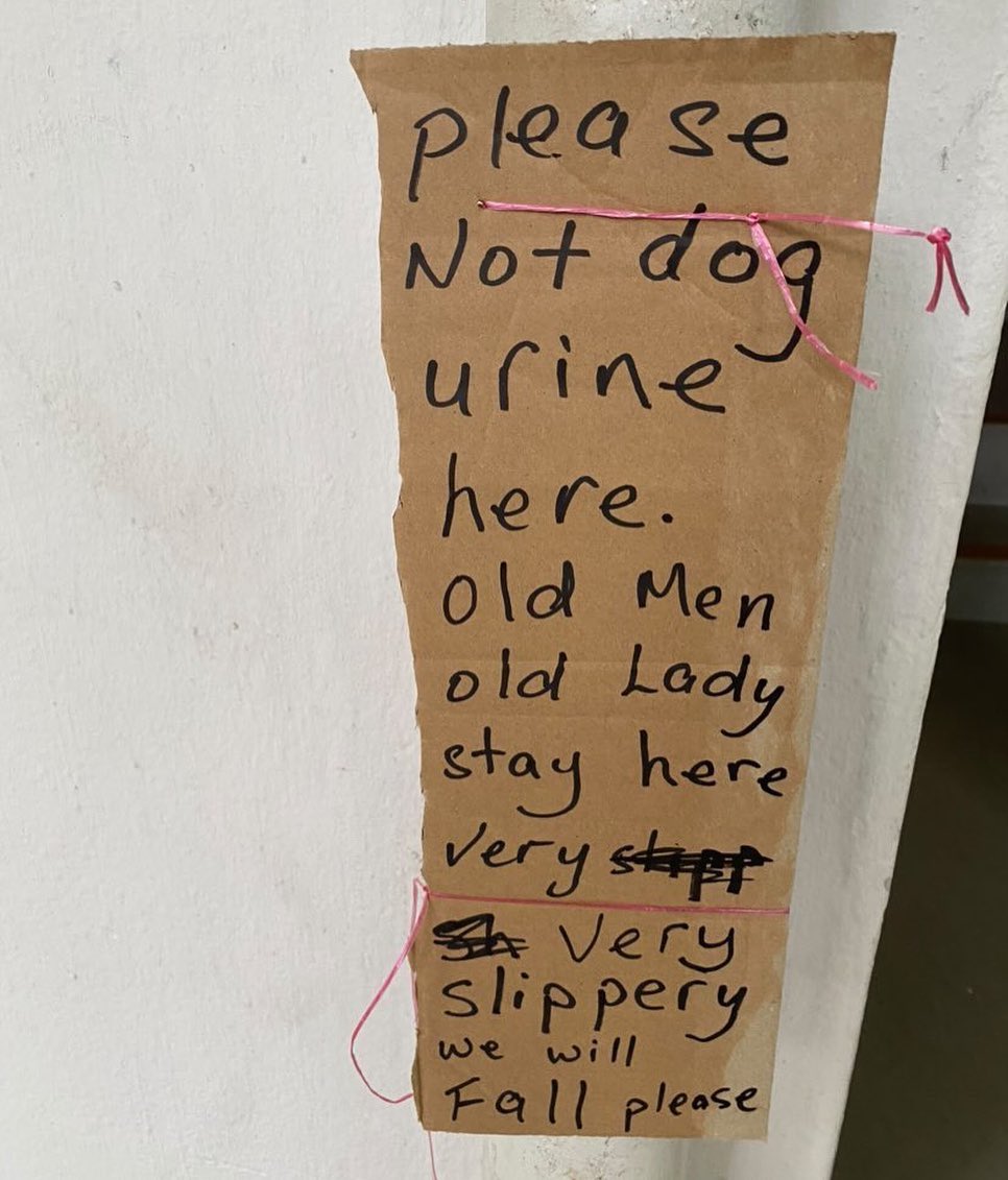 @publicnoticesg Is the Ultimate Love Letter to Singapore by Singaporeans