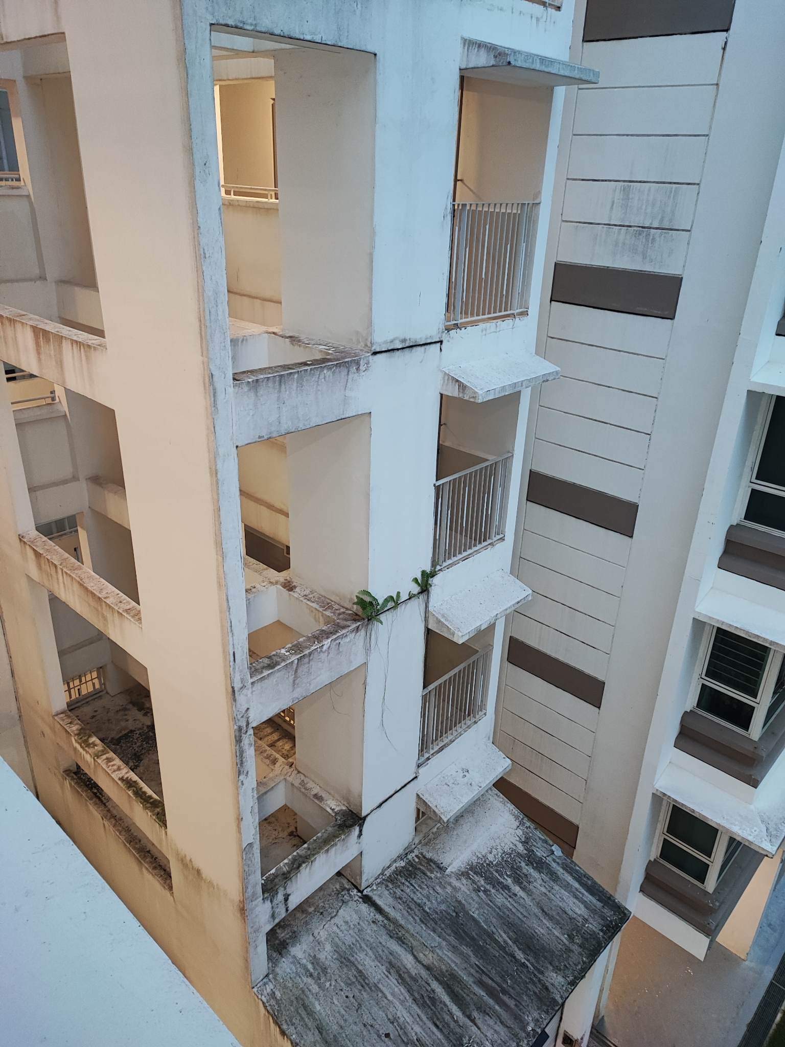 BTO ‘Mould-Gate’: When Joy for New Homes in Singapore Decays