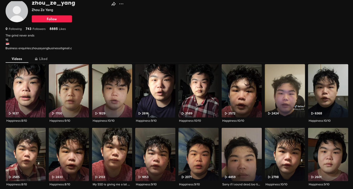 'Good Evening Hustlers': The 16-Year-Old Manifesting His Millionaire Dreams on TikTok
