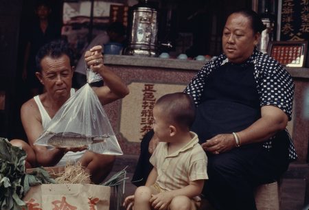 In Living Colour: Dr Ivan Polunin’s Curious Symphony of a Singapore Unseen