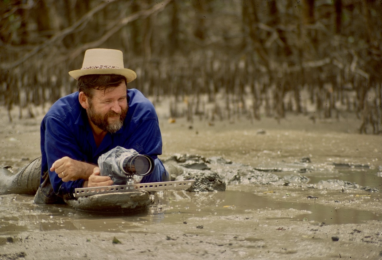 In Living Colour: Dr Ivan Polunin’s Curious Symphony of a Singapore Unseen