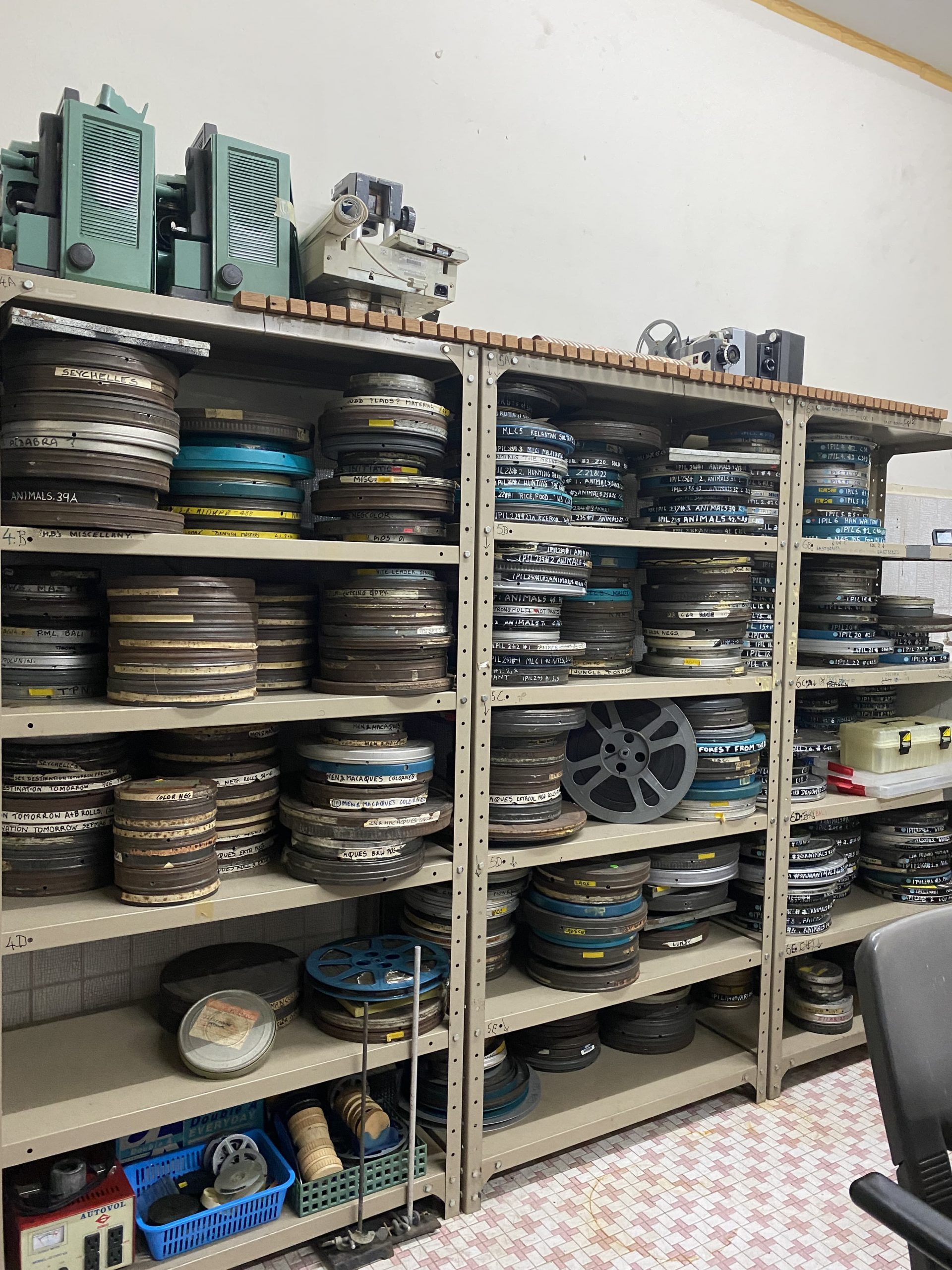 In Living Colour: Dr Ivan Polunin’s Curious Symphony of a Singapore Unseen