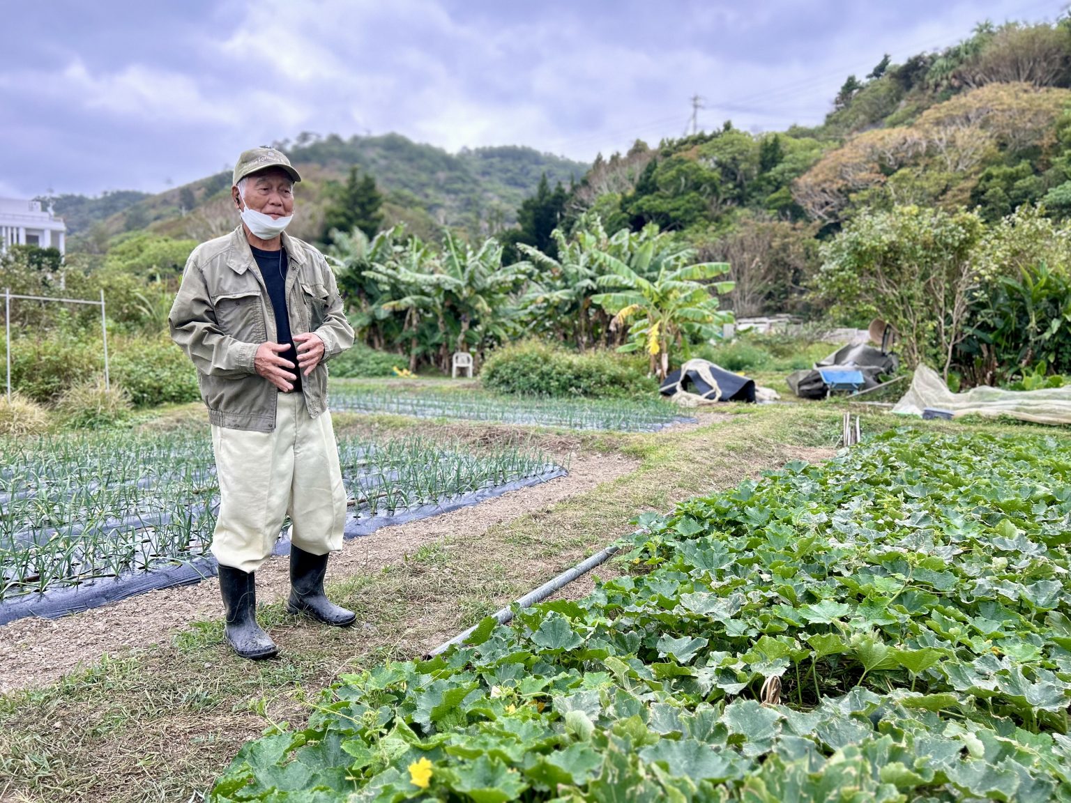 The Secrets to Longevity Hidden in Ogimi, a Remote Okinawan Village