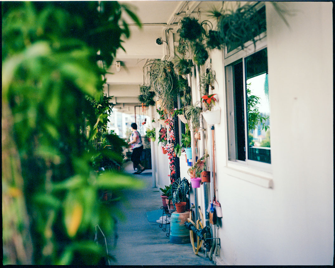 Singapore’s Longest Curved HDB Corridor, and the Distance Between Our Neighbours